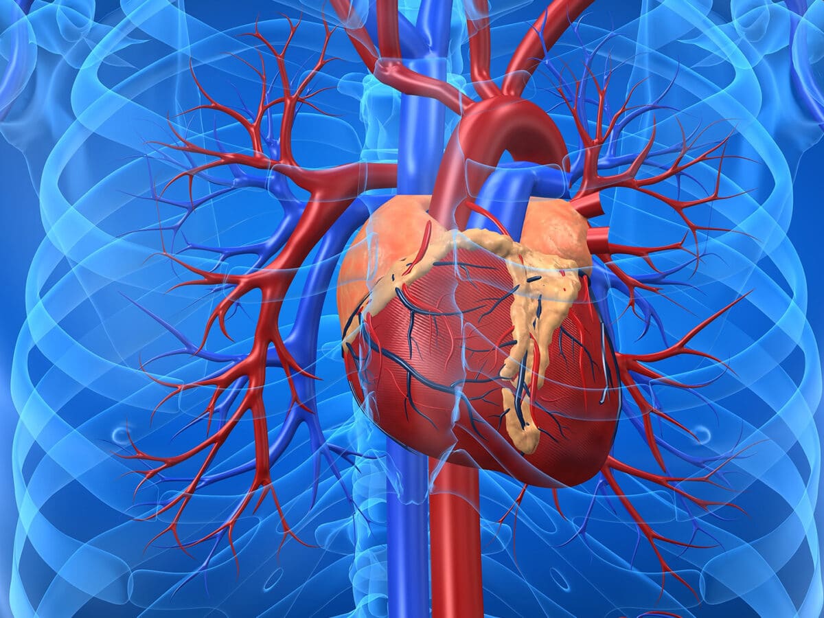 Heart & Vein Doctors - Advanced Cardiovascular Specialists