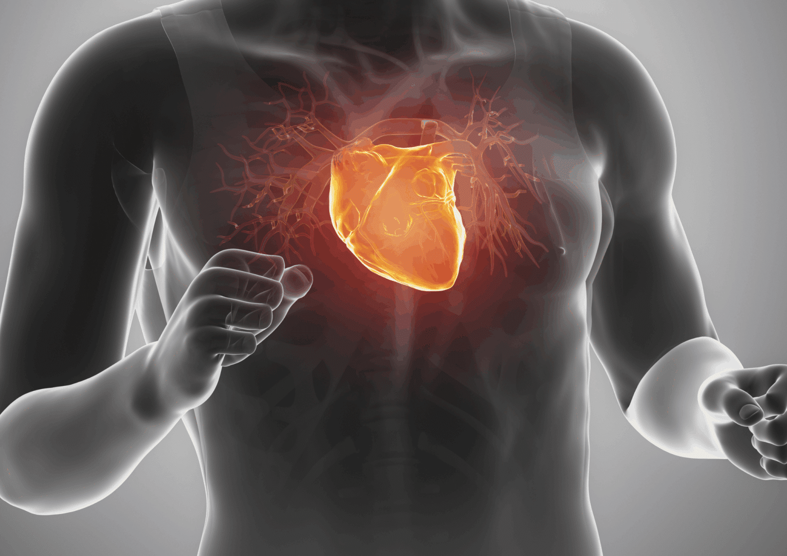 Athlete’s Heart vs. Heart Disease: Knowing the Difference