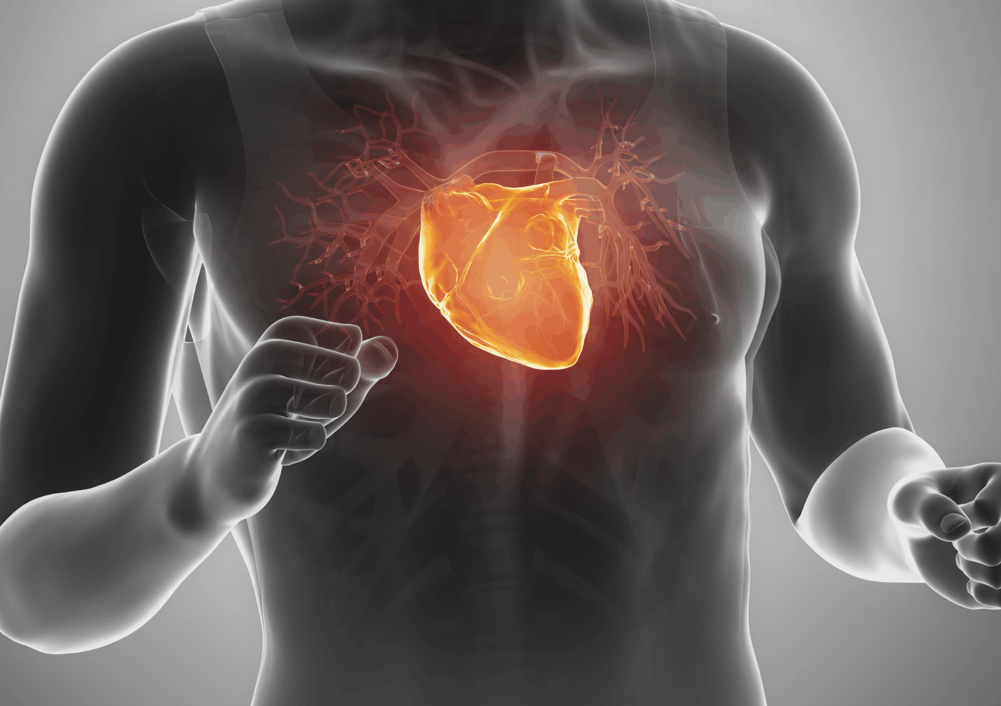 Athlete’s Heart vs. Heart Disease: Knowing the Difference
